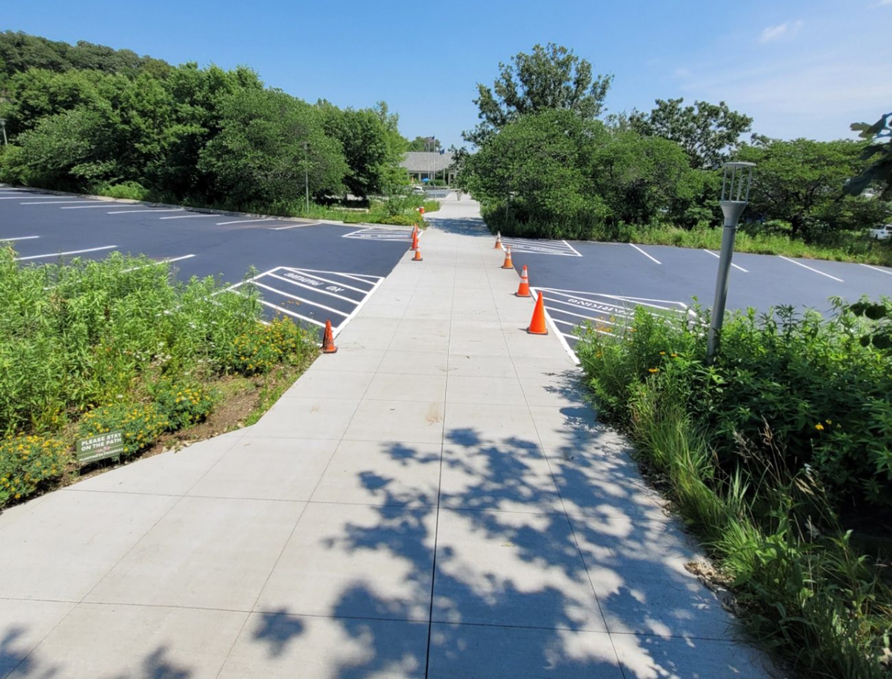 Asphalt Pavement Contractors: Expert Paving Services for Your Next ...
